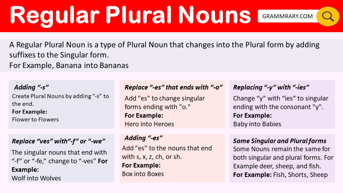 Singular Noun Examples Singular And Plural Nouns Grammar Worksheets